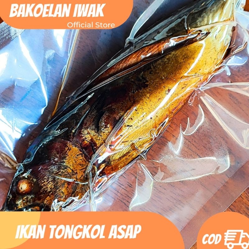 Jual Ikan Tongkol Asap 250-+gram | Shopee Indonesia