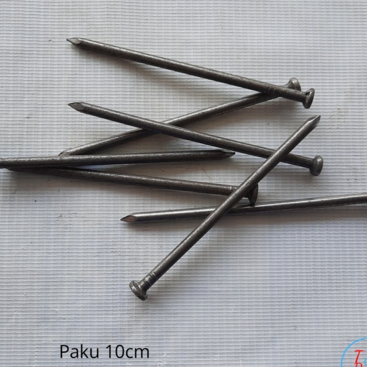 Jual Paku Kayu 10 cm 1/4 KG (250 gram) | Shopee Indonesia