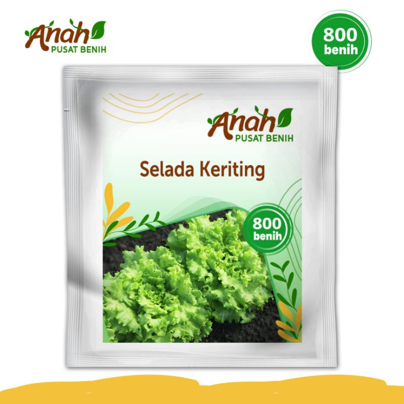 Jual Benih selada air 800 benih / bibit sayuran unggul | Shopee Indonesia