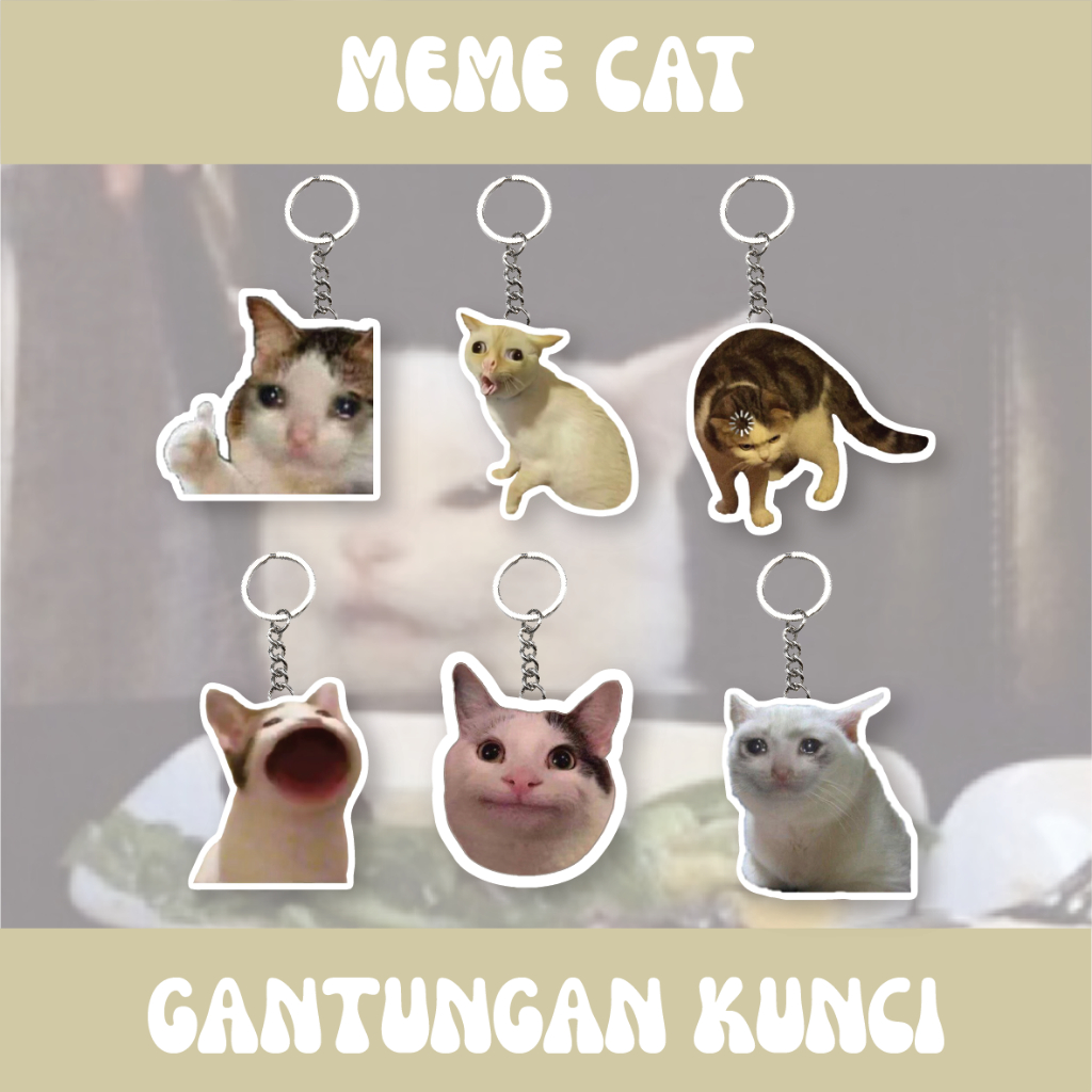 Jual GANTUNGAN KUNCI MEME CAT | AKRILIK 3MM | CAT | KUCING | GANCI ...