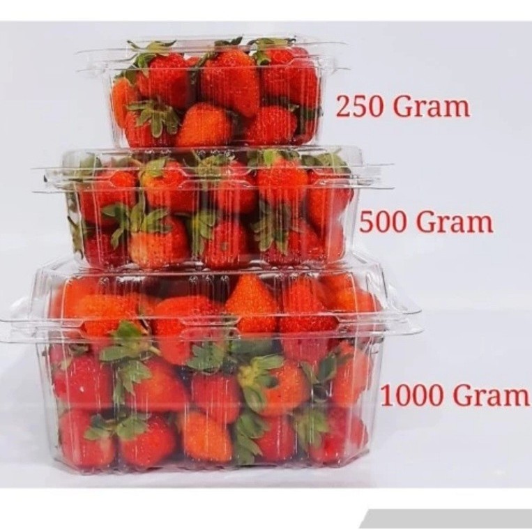 Jual Mika Fruit Box 250ml - Technoplastika - Tempat Buah - Isi 25pcs ...