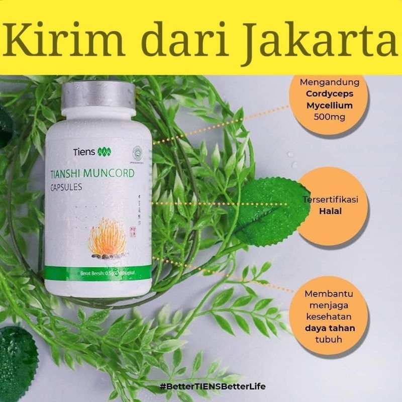 Jual Vitamin ISK Tiens | Vitamin Ginjal Tiens | Cordyceps Tianshi ...