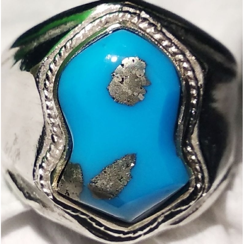 Jual Pirus Persia (Terompah Nabi) | Shopee Indonesia