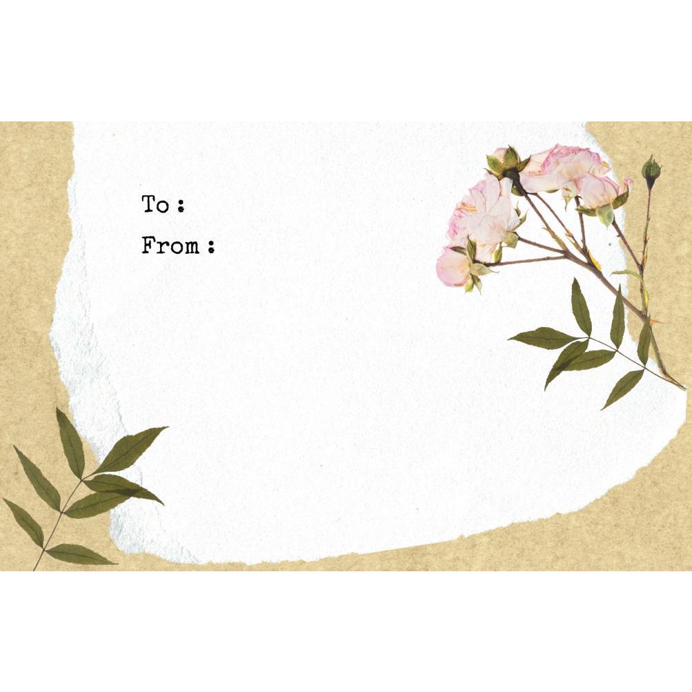 Jual Greeting Card BLANK Polos / Gift Card Kartu Polosan Kosong ...