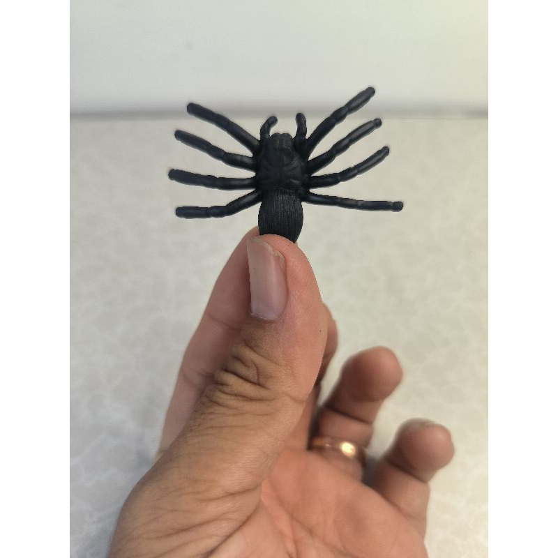 Jual mainan karet laba laba hitam 5cm | Shopee Indonesia