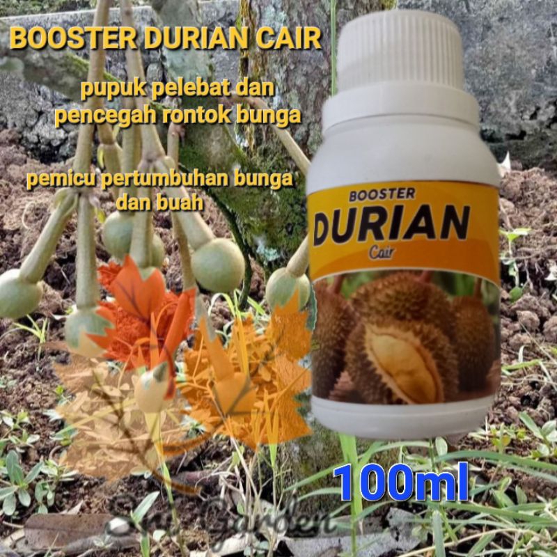 Jual Booster durian pupuk cair agar cepat berbuah pupuk anti rontok bunga durian pupuk organik ...