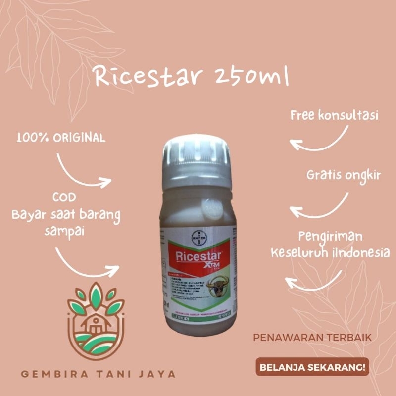 Jual HERBISIDA RICESTAR XTRA 890D KEMASAN 250ML | Shopee Indonesia
