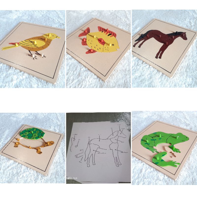 Jual Zoology Puzzle Montessori | Shopee Indonesia