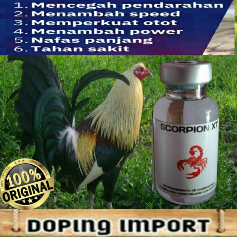 Jual Doping Ayam Aduan Taji Pisau - SCORPION XT | Doping Ayam Aduan ...
