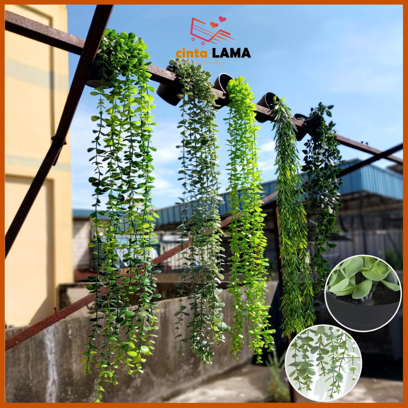 Jual Daun Rambat Plastik Dekorasi Dinding Rumah Tanaman Juntai Hias ...