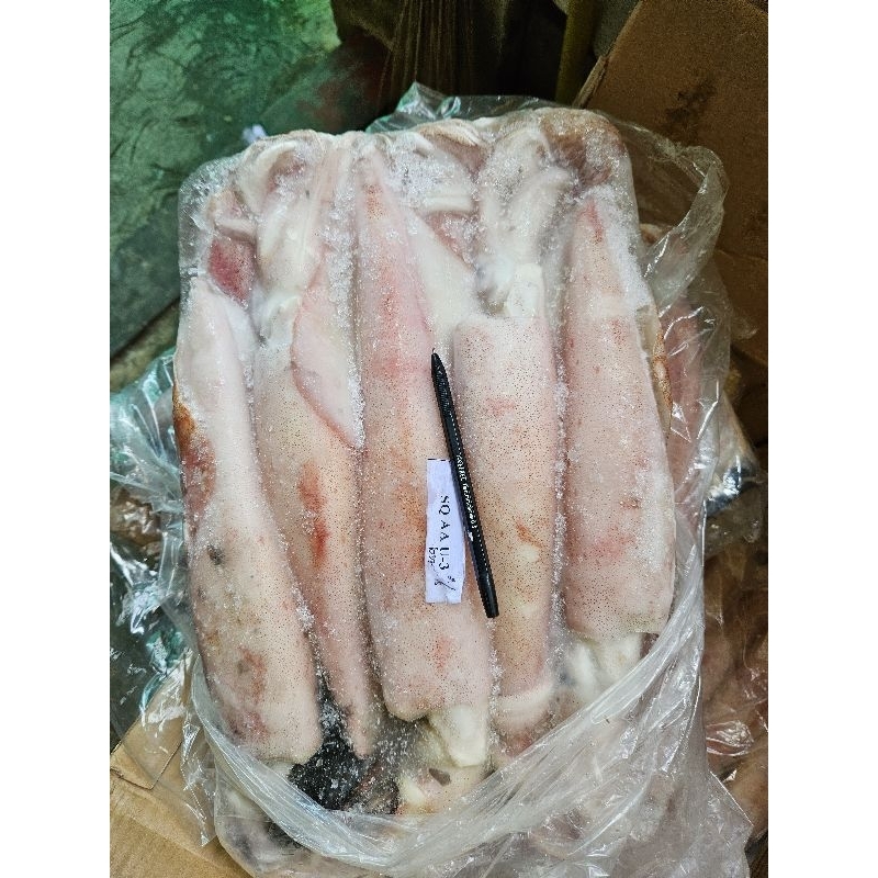 Jual Cumi Besar/Cumi Bangka 1kg frozen | Shopee Indonesia