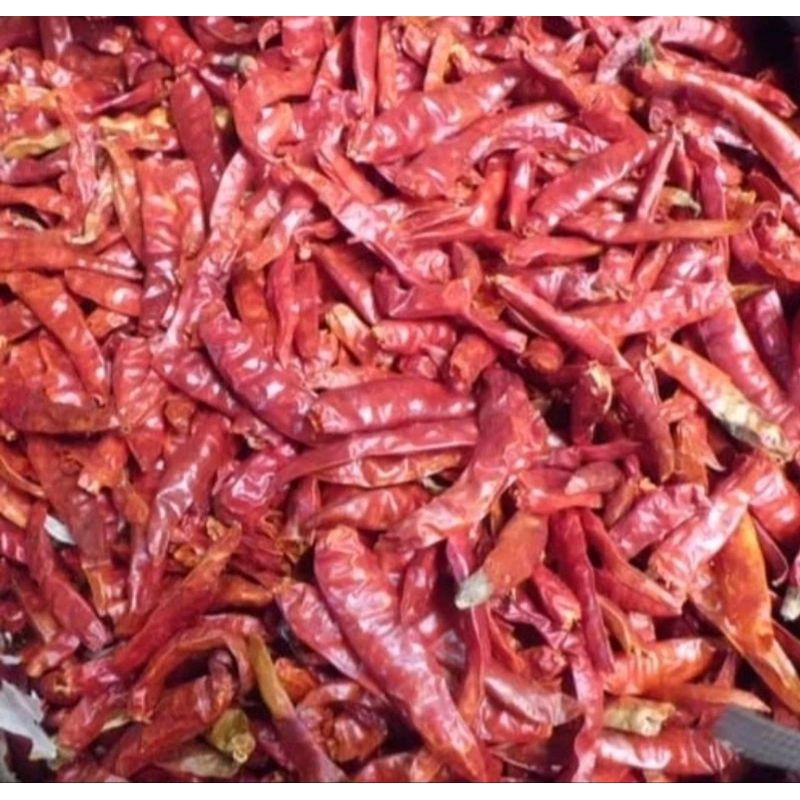 Jual cengek Teja/Japlak kering 1kg | Shopee Indonesia