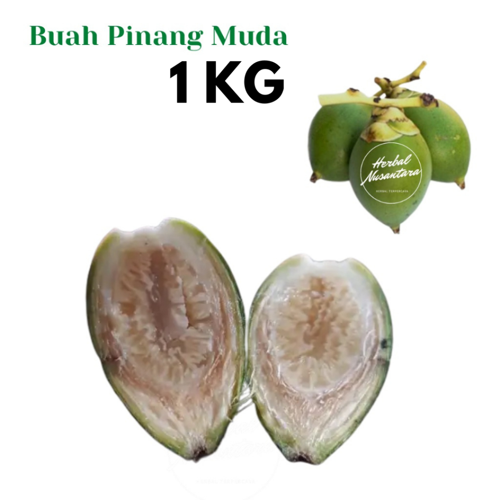 Jual Buah Pinang Muda Jambe Muda 1kg Untuk Pria Dewasa | Shopee Indonesia