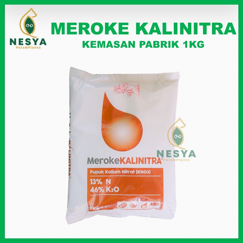 Jual PUPUK MEROKE KALINITRA KEMASAN PABRIK 1KG PUPUK KALIUM NITRAT ...