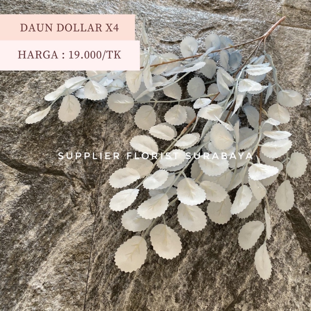Jual [DAUN DOLLAR X4] DEDAUNAN ARTIFICIAL LEAF DAUN PALSU DOLLAR DOLAR ...
