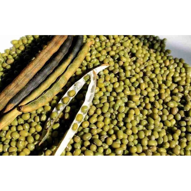 Jual kacang hijau 1kg | Shopee Indonesia