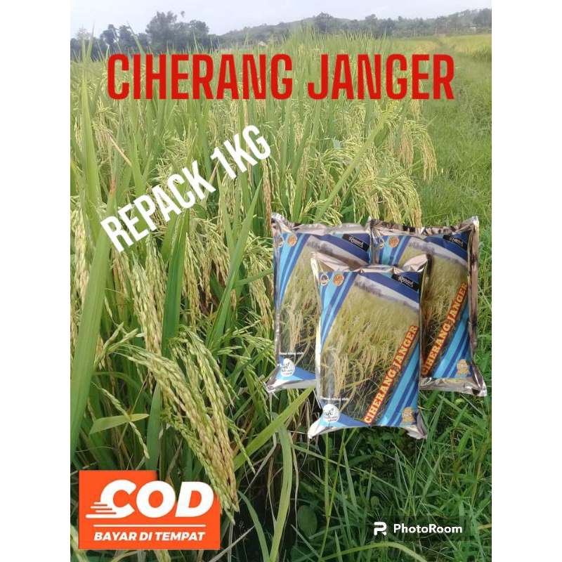 Jual Benih padi Ciherang janger kemasan repack 1kg | Shopee Indonesia