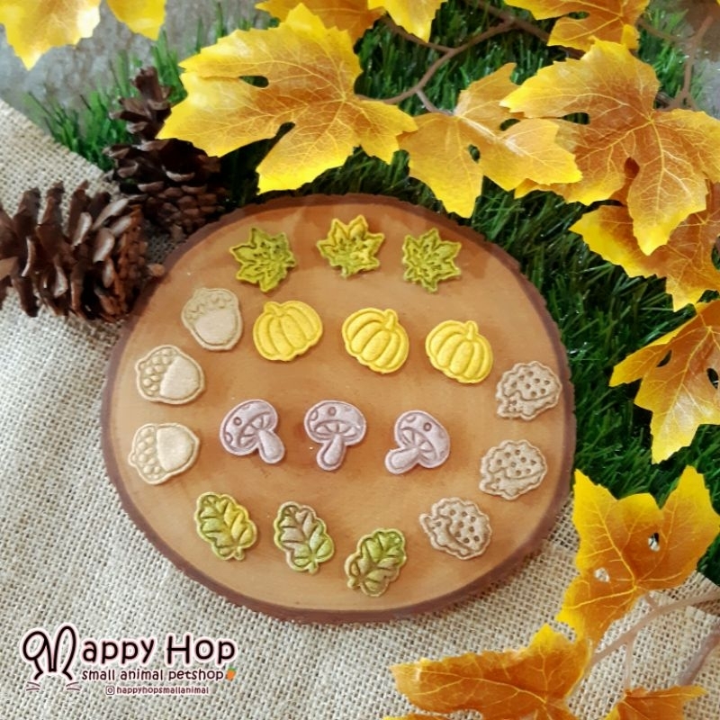 Jual Edisi spesial | Autumn | snack kelinci marmut hamster by Happy Hop ...