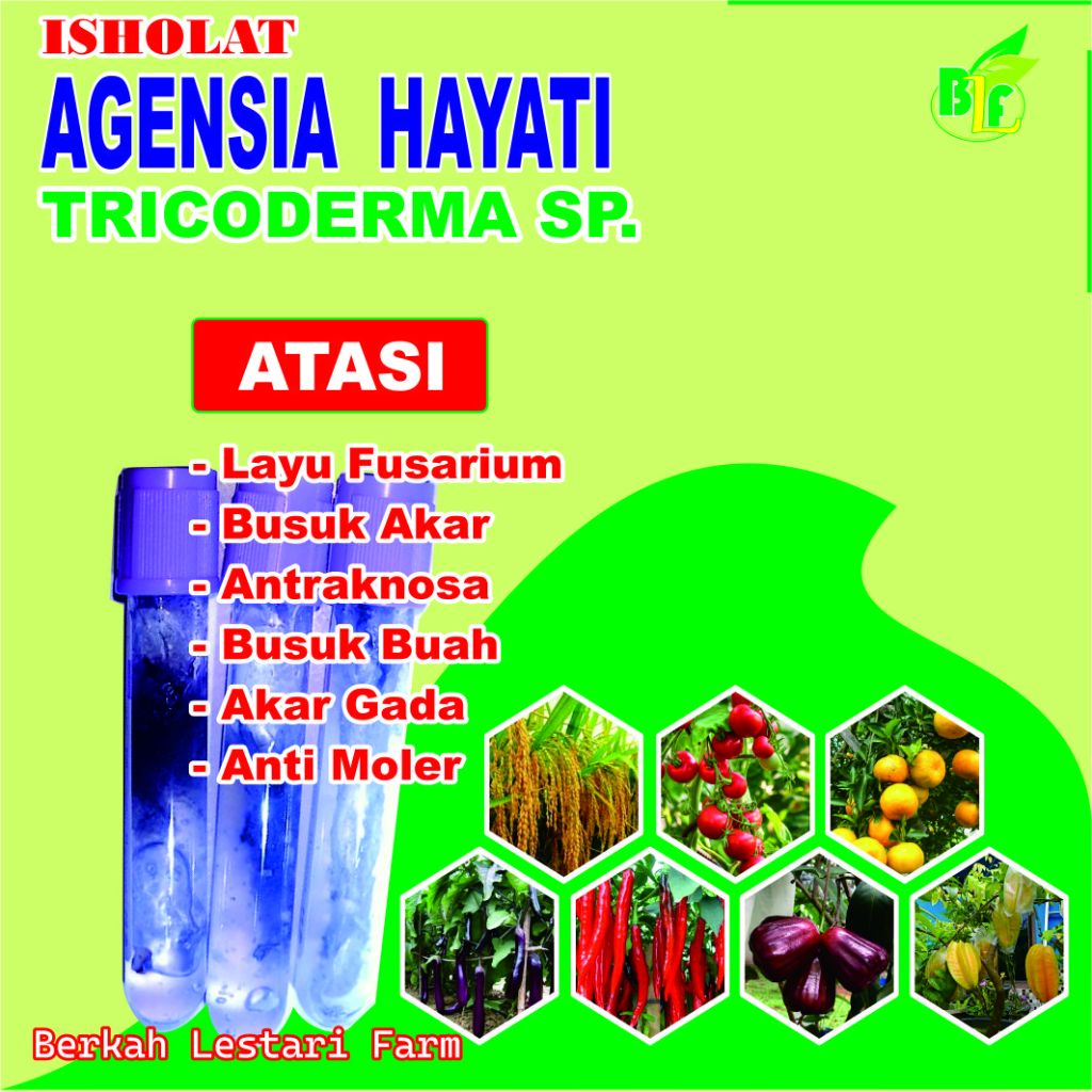 Jual Isolat Cendawan/ Jamur Trichoderma sp. | Shopee Indonesia