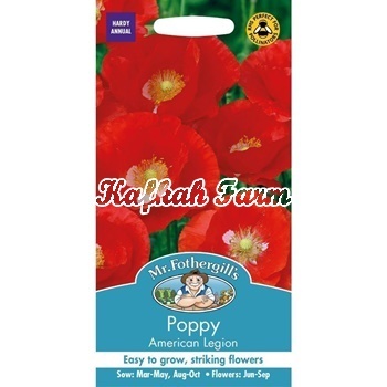 Jual Benih 3 Biji Bunga POPPY American Legion | Shopee Indonesia
