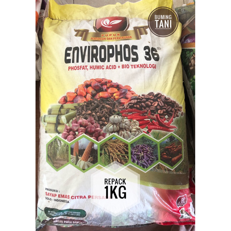 Jual Pupuk Dasar Envirophos 36 (SP36/Tripel) Repack 1Kg | Shopee Indonesia