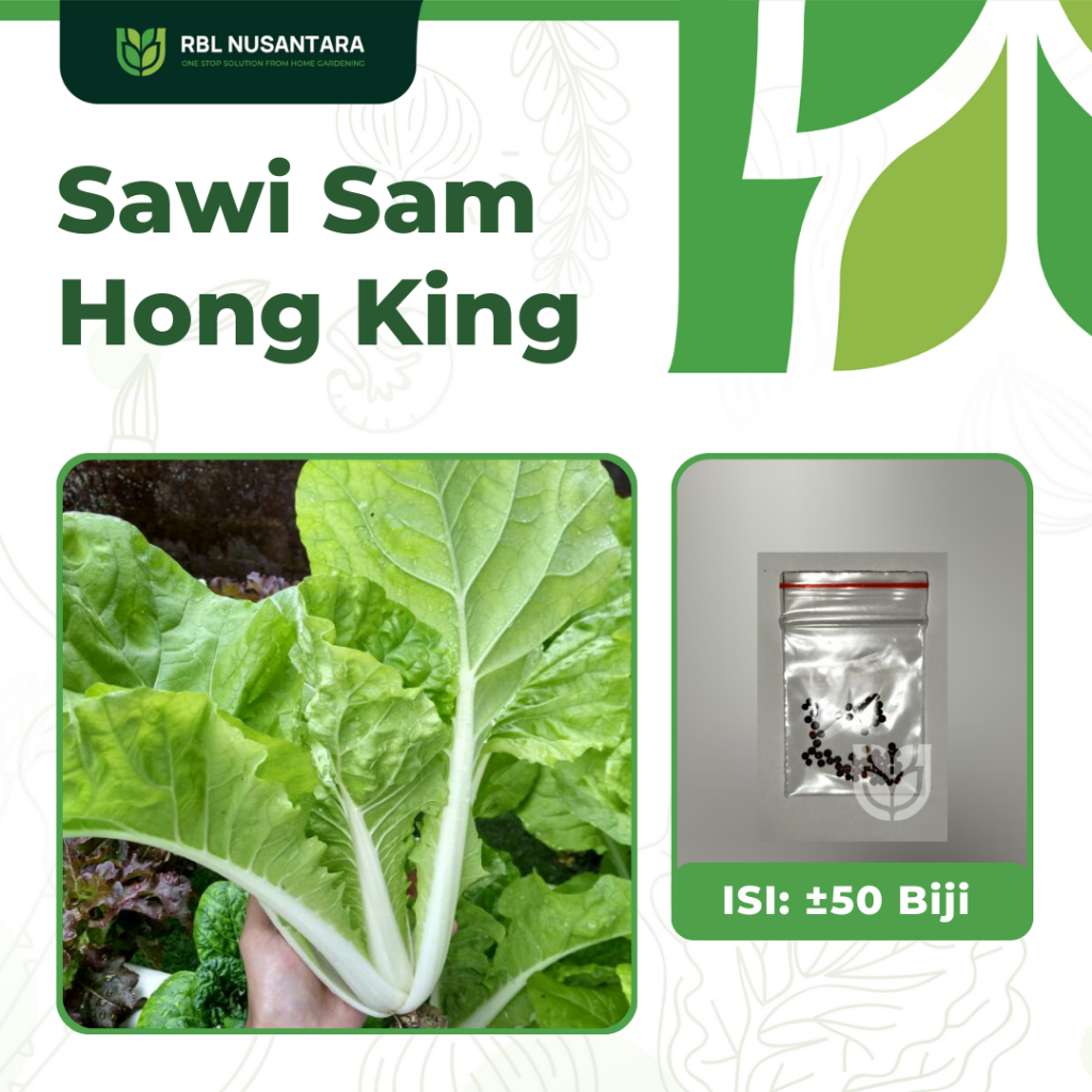 Jual BENIH SAYURAN - 50 Benih Sawi Sam Hong King | Shopee Indonesia