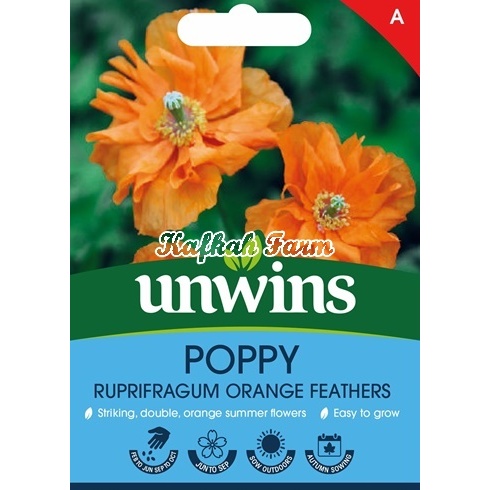 Jual Benih 3 Biji Bunga POPPY Rupifragum Orange Feathers | Shopee Indonesia