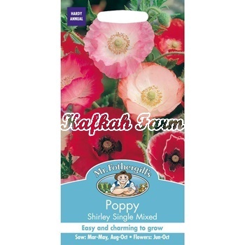Jual Benih 3 Biji Bunga POPPY Shirley Single Mixed | Shopee Indonesia