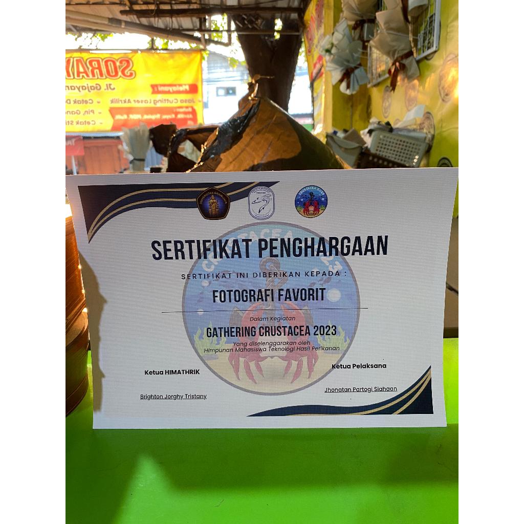 Jual SERTIFIKAT/PIAGAM PENGHARGAAN | Shopee Indonesia