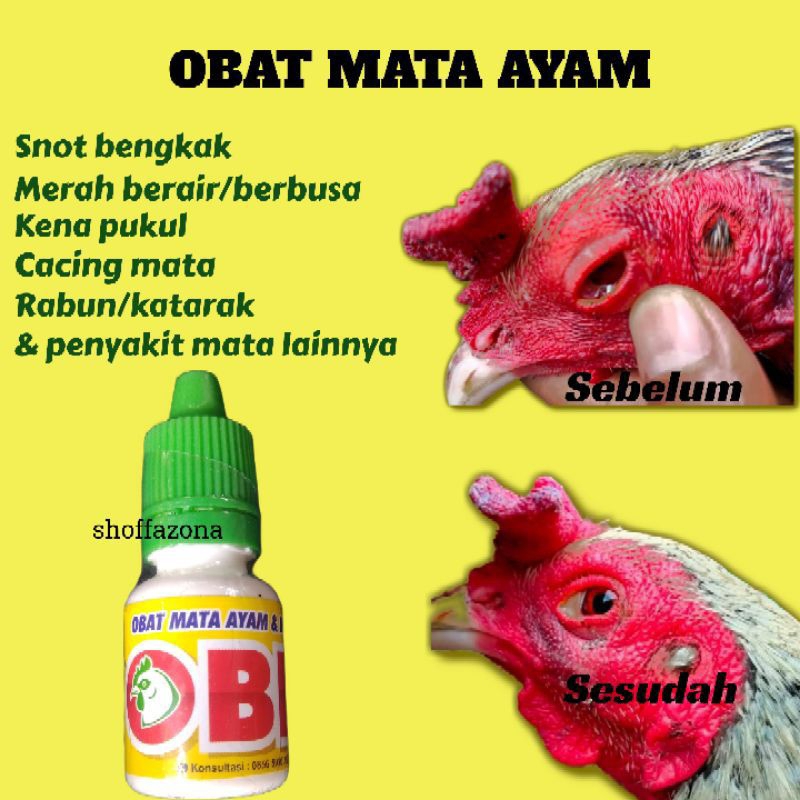 Jual OBK MATA OBAT MATA AYAM ampuh | Shopee Indonesia