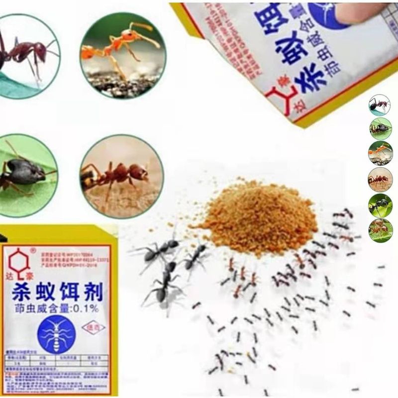 Jual ready racun semut serangga paling ampuh super ampuh original bubuk ...