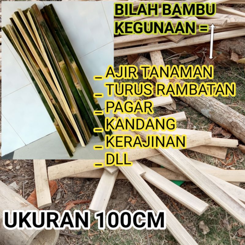 Jual 100CM BILAH BAMBU/TURUS BAMBU PENYANGGA TANAMAN/AJIR BAMBU/TURUS ...