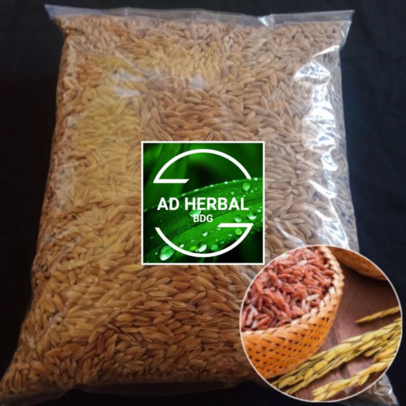 Jual Benih Padi Merah Asli Padi Ladang Per 2 Kg | Shopee Indonesia