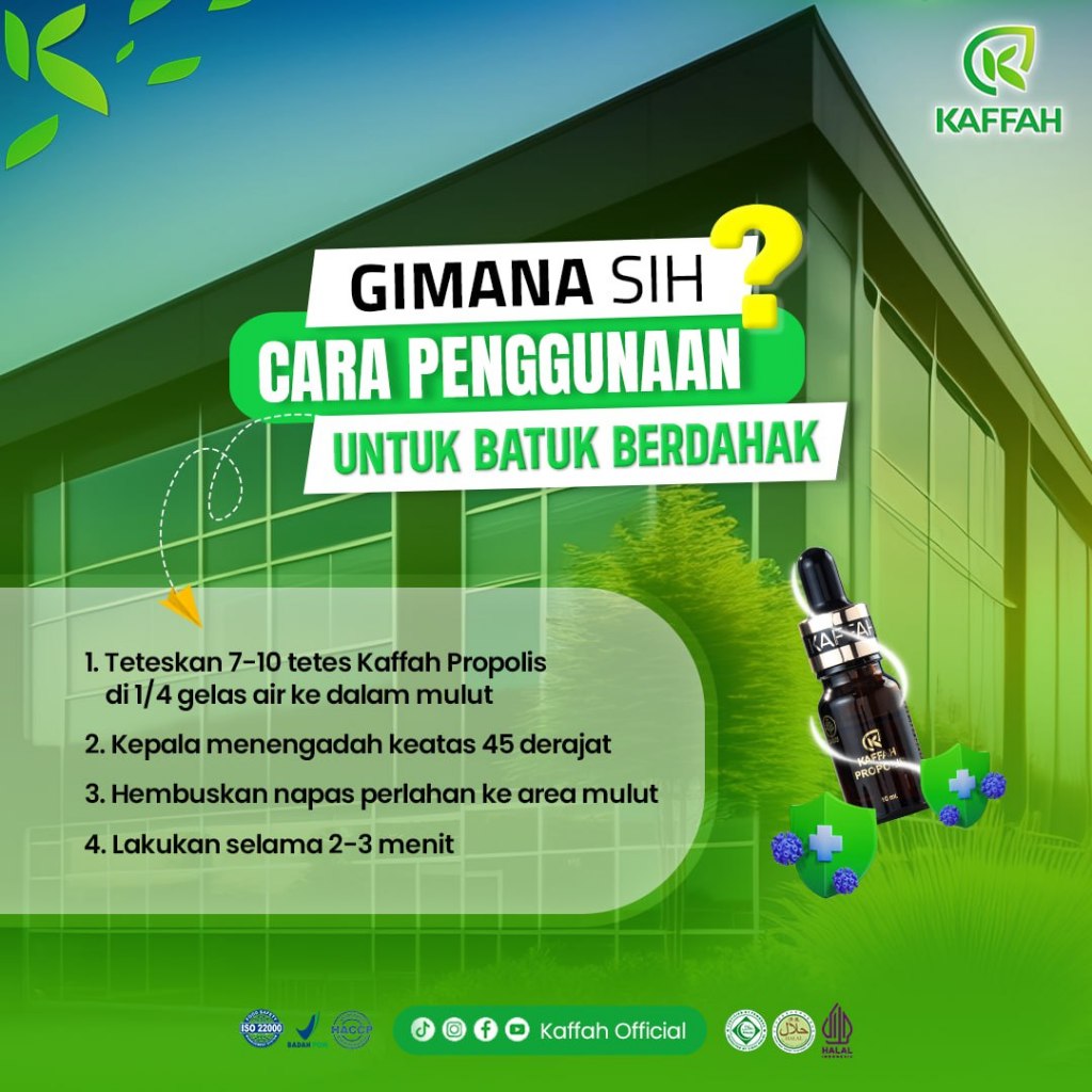 Jual Obat Batuk Berdahak Dewasa dan Anak Herbal Kaffah Propolis ...