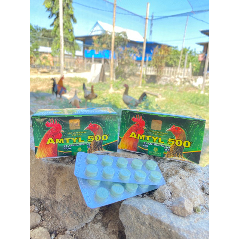 Jual Amtyl Atasi Berak ijo Ayam | Shopee Indonesia