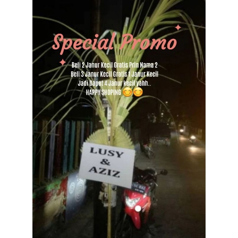 Jual ( Beli 2 Gratis Nama. Beli 3 Gratis 1 Janur = 4) Janur Kecil ...