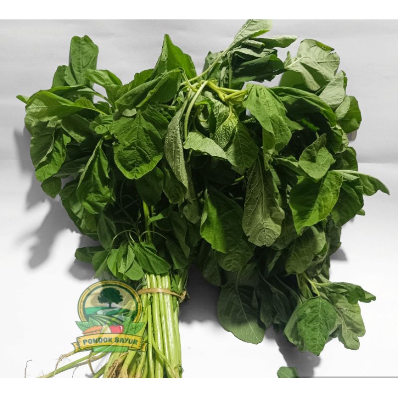 Jual Bayam Segar 500Gr | Shopee Indonesia