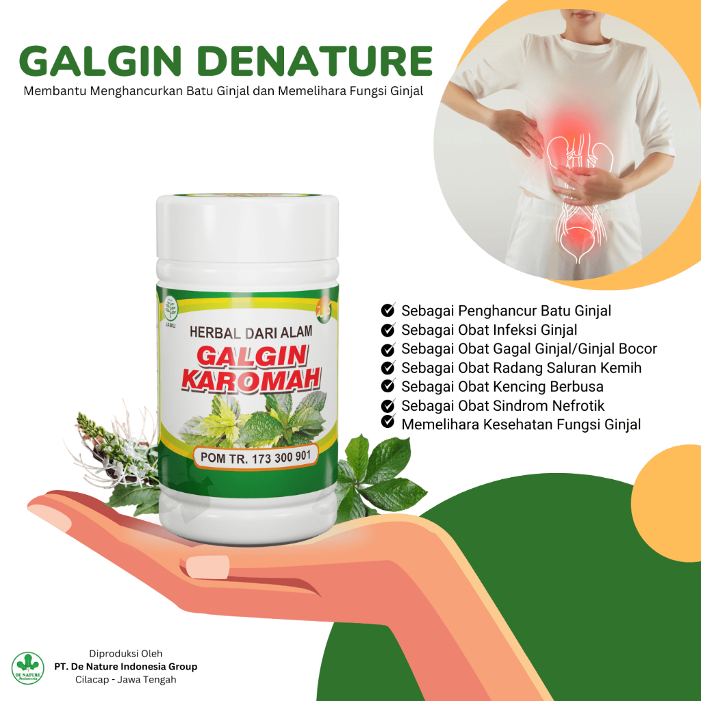 Jual (COD) Obat Pencegah Sindrom Nefrotik Kerusakan Pada Ginjal, Obat ...