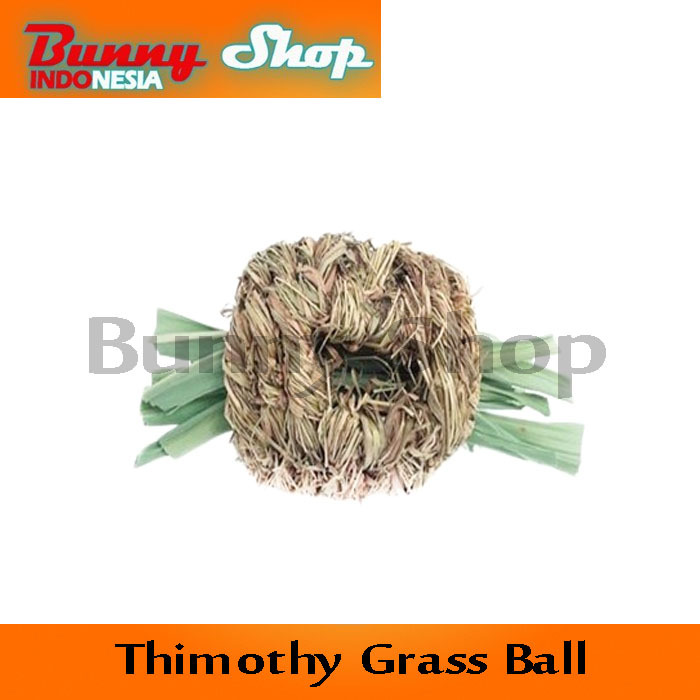 Jual Timothy Grass Ball bisa di isi dengan Rumput Hay | Shopee Indonesia