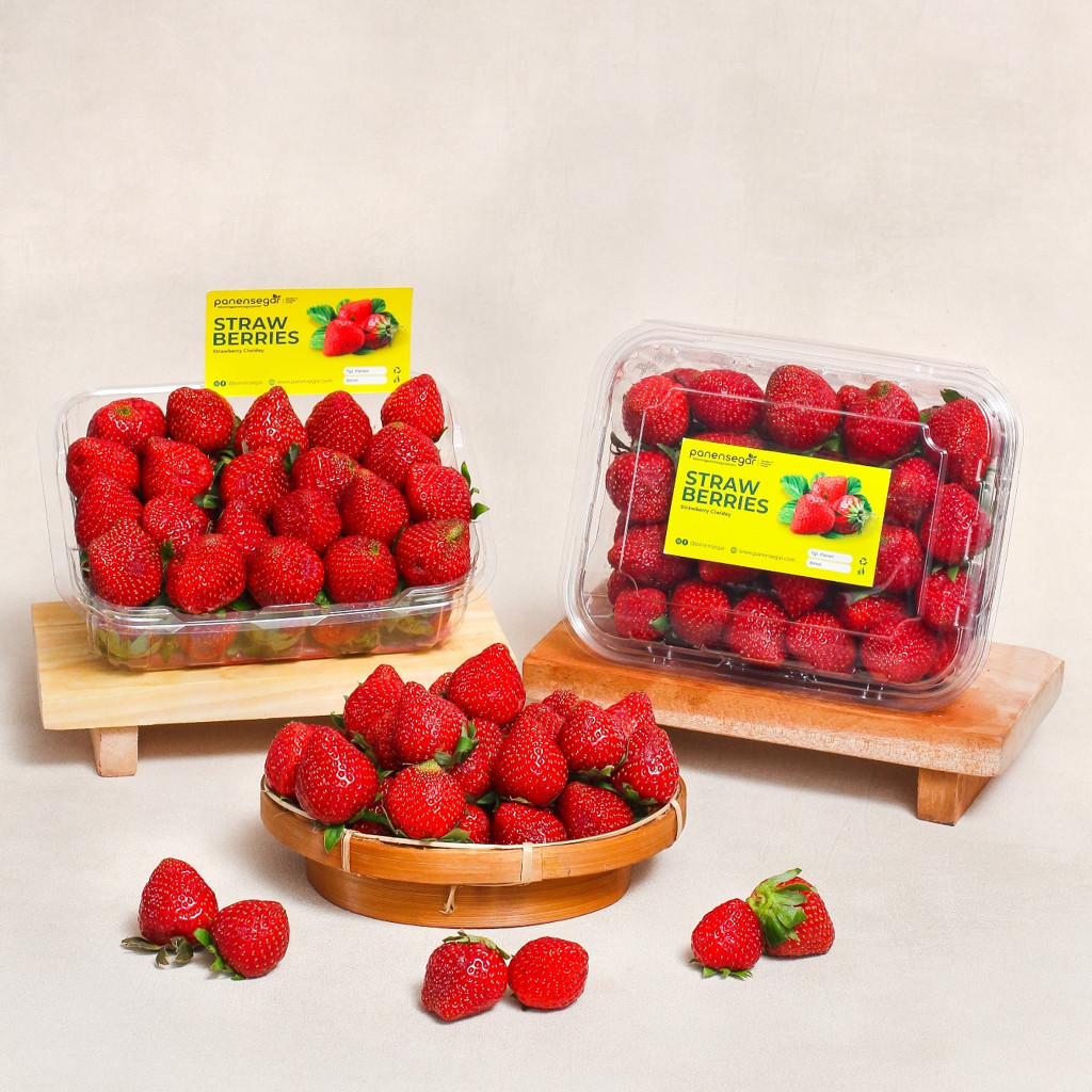 Jual Strawberry Fresh 1kg Premium Jumbo Panensegar Stroberi Segar ...