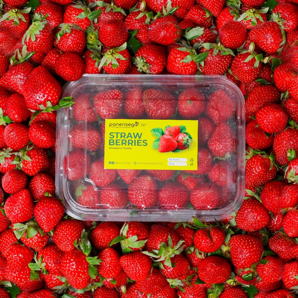 Jual Strawberry Fresh 1kg Premium Jumbo Panensegar Stroberi Segar ...