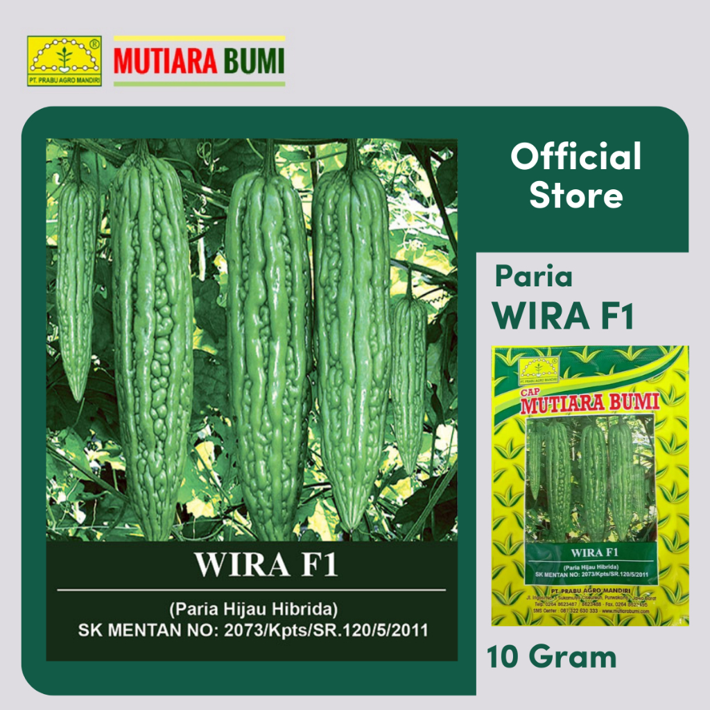 Jual BENIH PARE PARIA HIJAU HIBRIDA WIRA F1 10 GRAM ISI 50-60 BIJI CAP ...