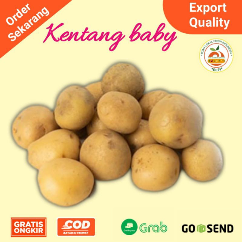 Jual KENTANG BABY POTATO KENTANG MINI KENTANG KECIL | Shopee Indonesia