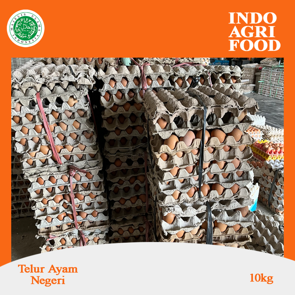 Jual Telur Ayam Negeri 10 kg / Telur ayam negeri curah NKV dari kandang ...