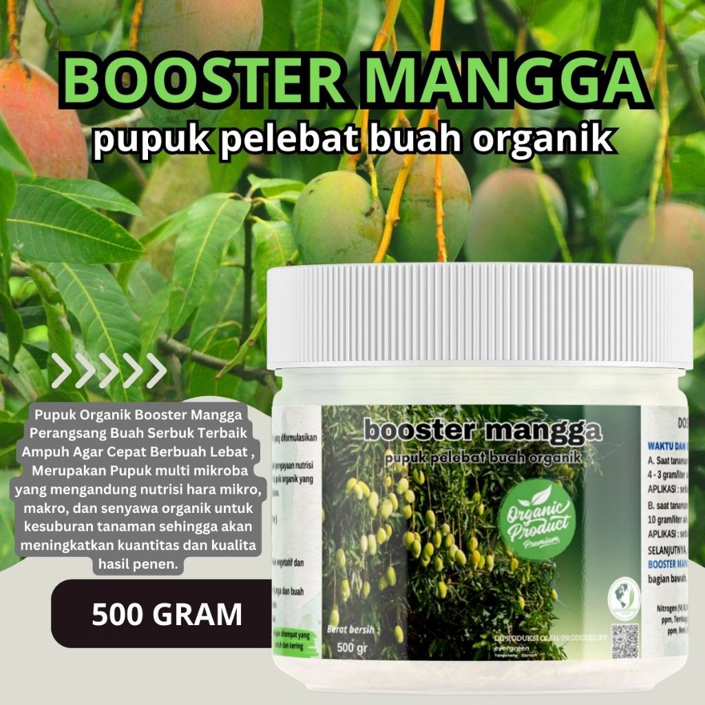 Jual Pupuk Booster Mangga 500gr Organik Cepat Berbuah Lebat Atasi Rontok Serbuk Terbaik Ampuh ...