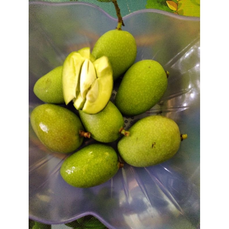 Jual Buah Mangga Muda 1kg Buah Segar Fresh Buat Rujak Lada Buah Manga ...