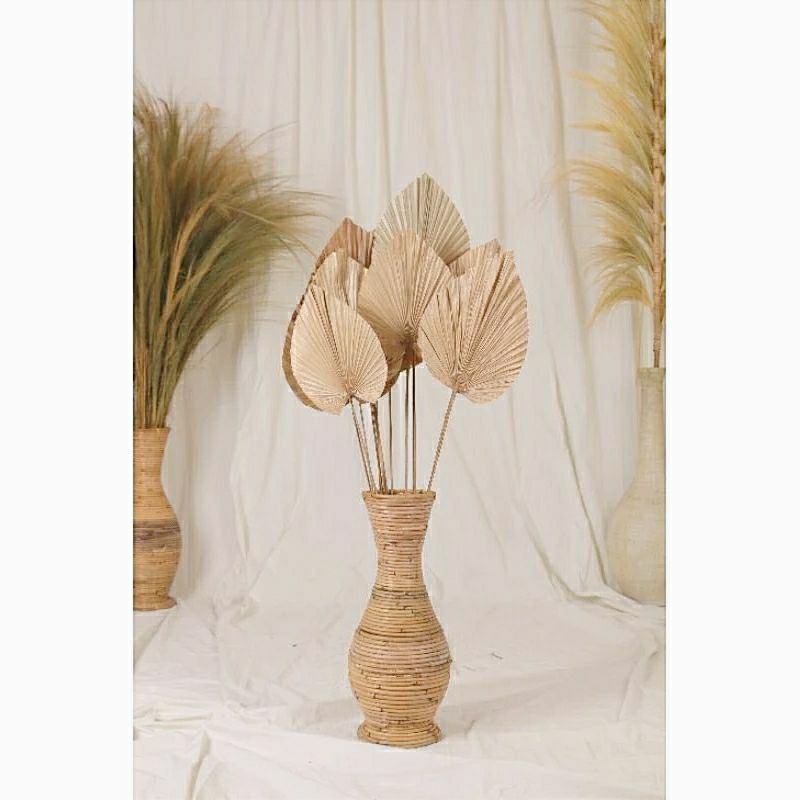 Jual TERMURAH Palem Mini Dekorasi Daun Rustik Kering Palem Sikas Pampas ...