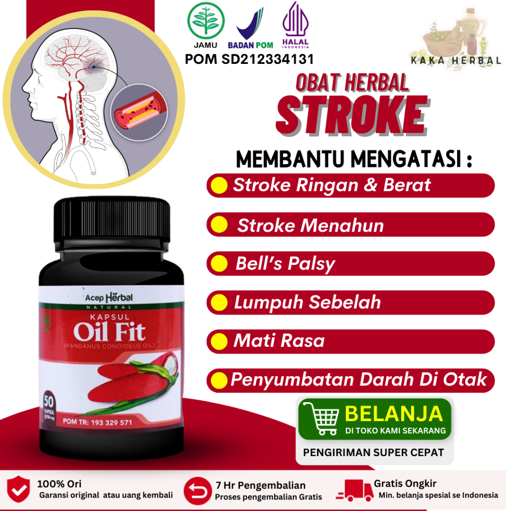 Jual Obat Stroke Struk Herbal Stroke Ringan Lumpuh Menahun Mati Sebelah ...