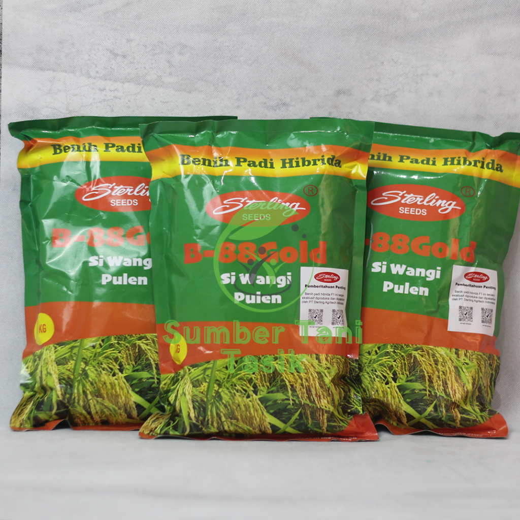 Jual Benih Padi Hibrida B-88 Gold Cap Sterling Seeds 1Kg Si Wangi Pulen ...