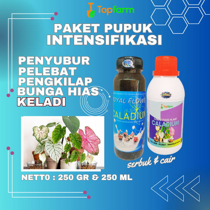 Jual Pupuk Tanaman Hias Keladi / Pupuk Untuk Tanaman Keladi / Pupuk Penyubur Bunga Keladi ...